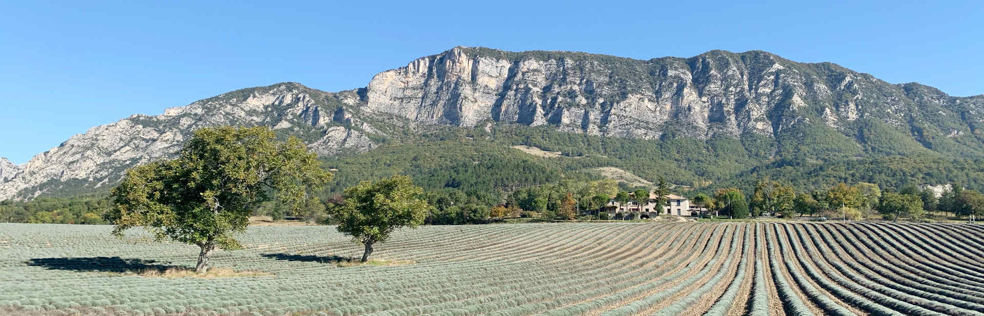 Communiqués de presse, lettres d'informations - Marie-Pierre Monier